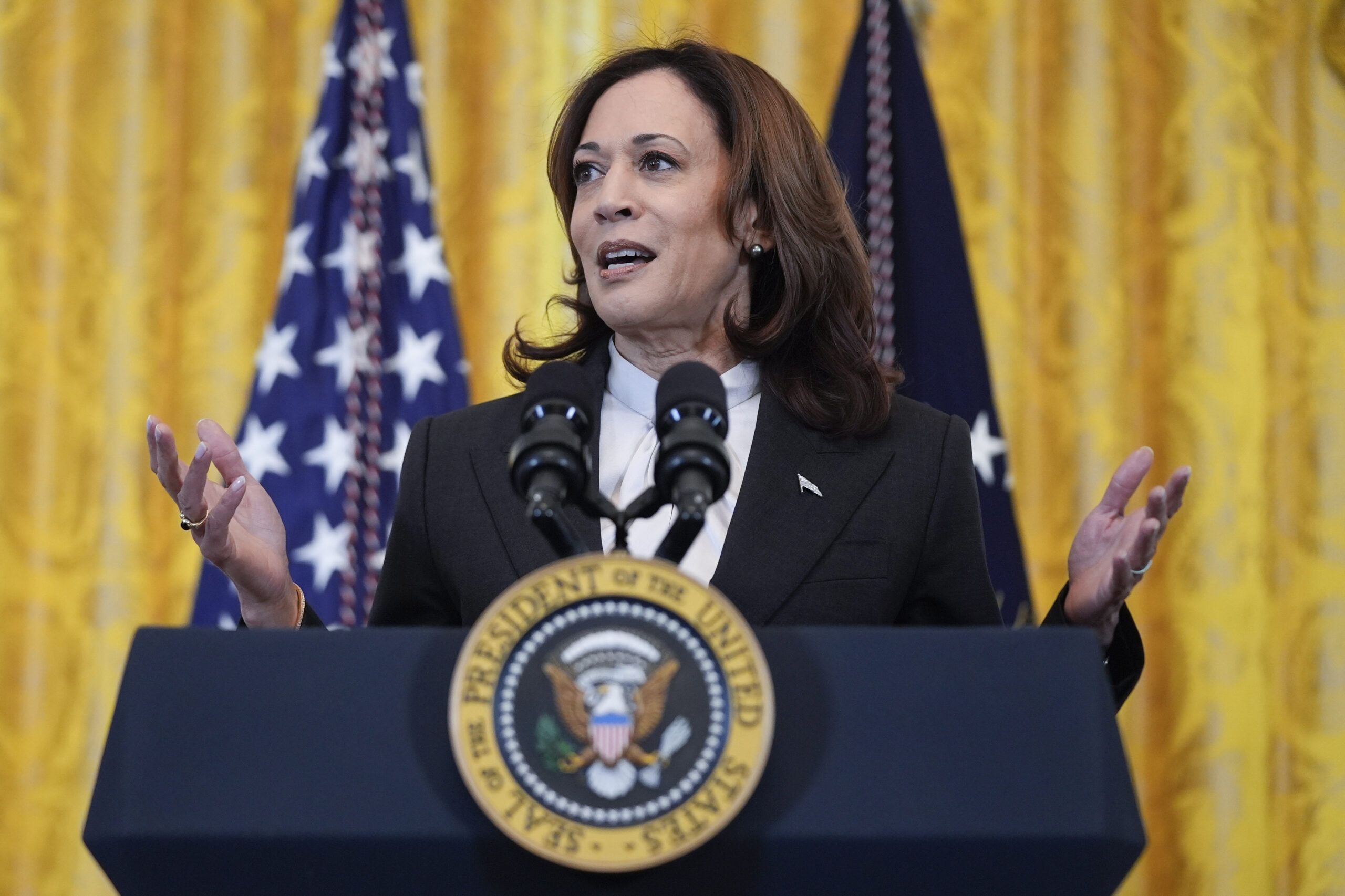 Kamala Harris secures more than half the DNC delegates needed - EVOL ...