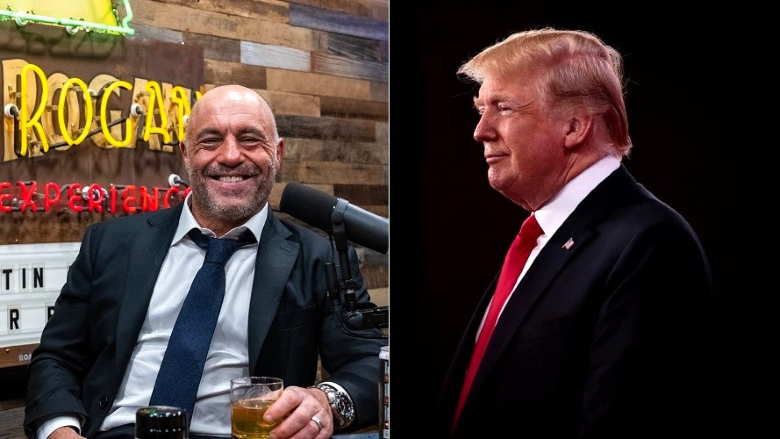 'He's Like A Comedian, Man': Joe Rogan Reflects On Interview With ...
