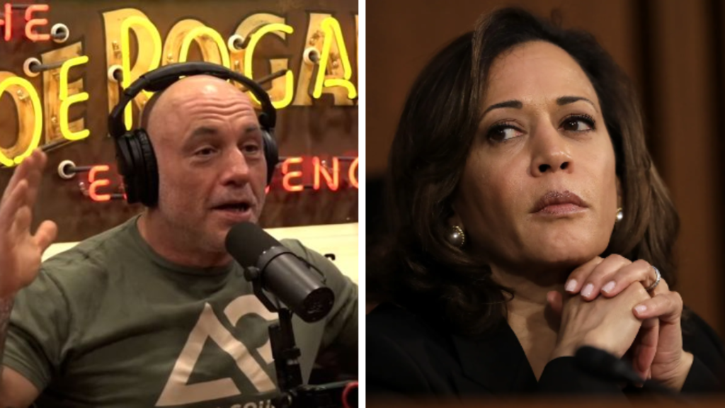 REVEALED: Kamala didn’t agree to Joe Rogan’s interview over eyebrow ...