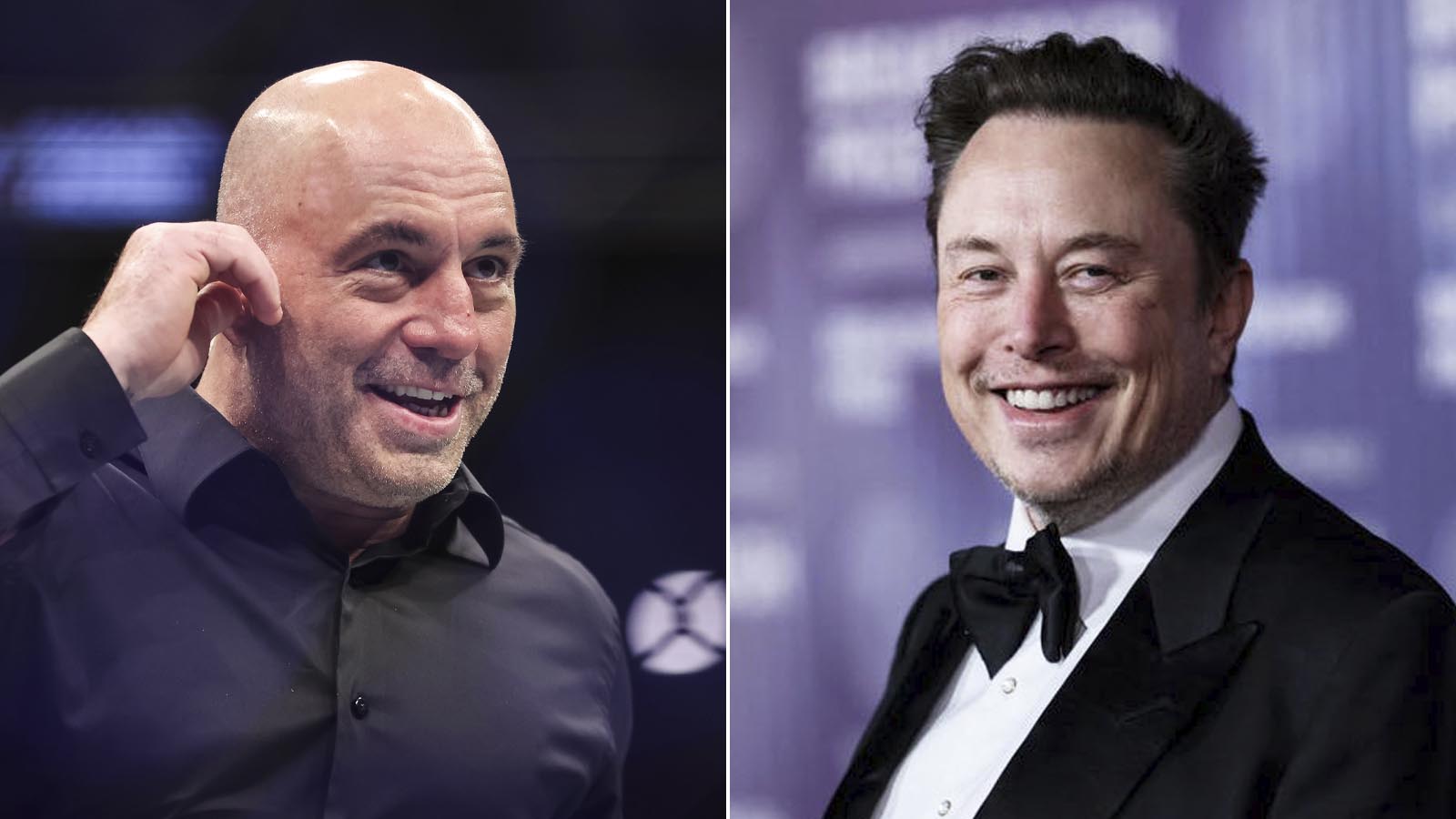 Joe Rogan, Elon Musk Hilariously Spark Exchange on X Over Failing MSNBC ...
