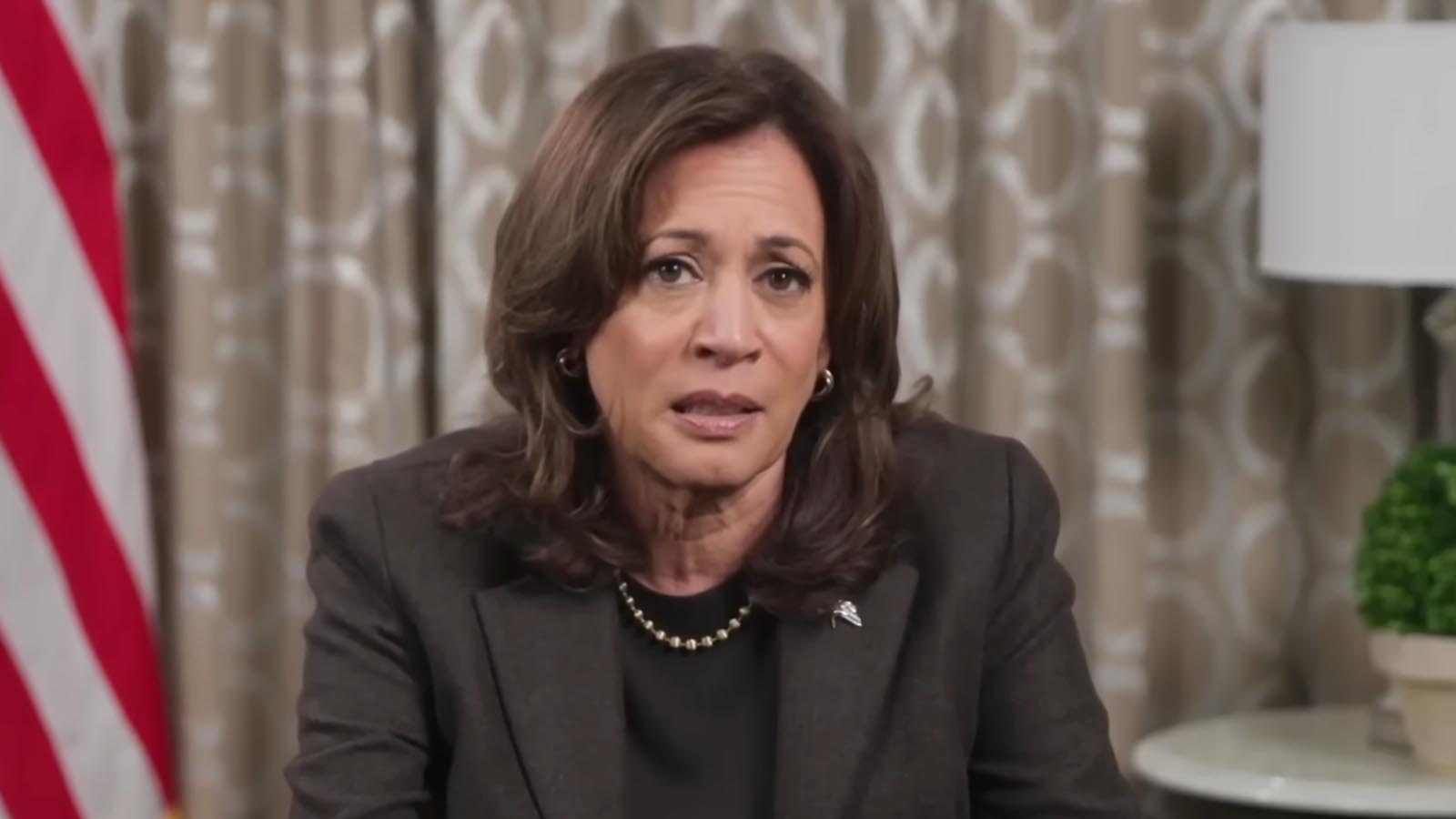 Body Language Expert Reveals Harsh ‘Truth’ About Kamala Harris’s ...