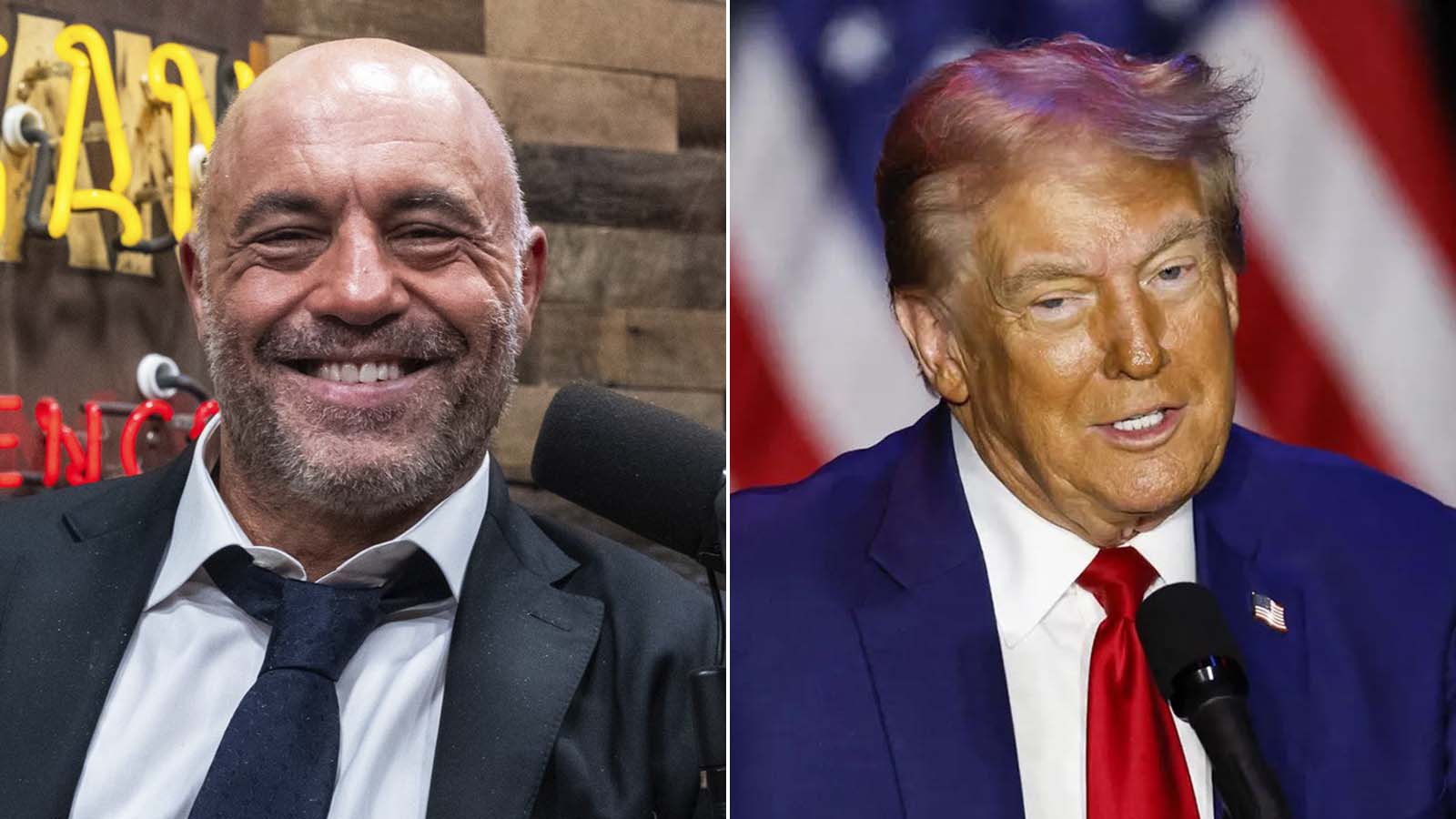 Joe Rogan Endorses Trump for Presidential Election - EVOL - Evol News