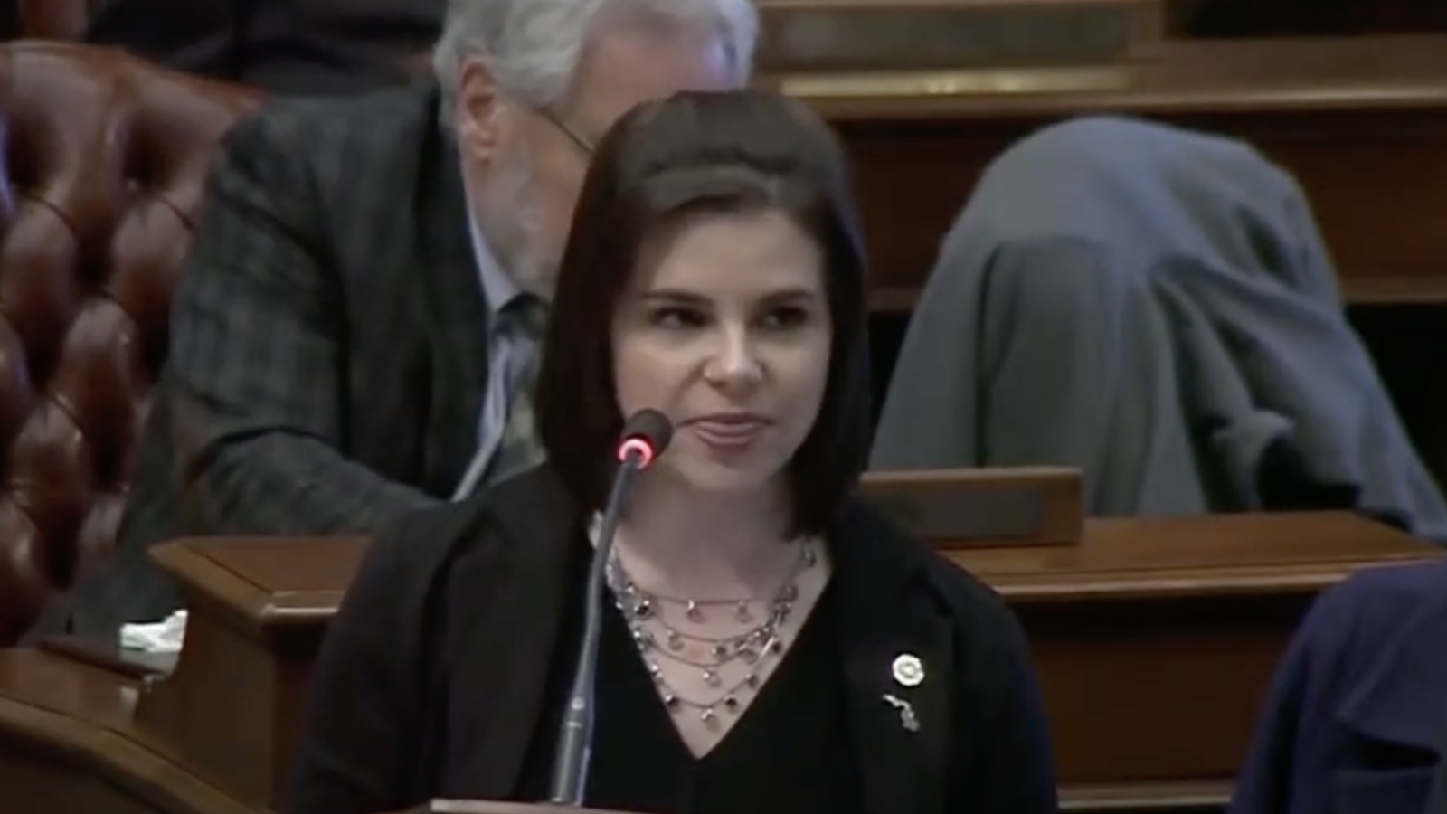 Democrat Lawmaker Voluntarily Sterilizes Herself Because of Donald ...