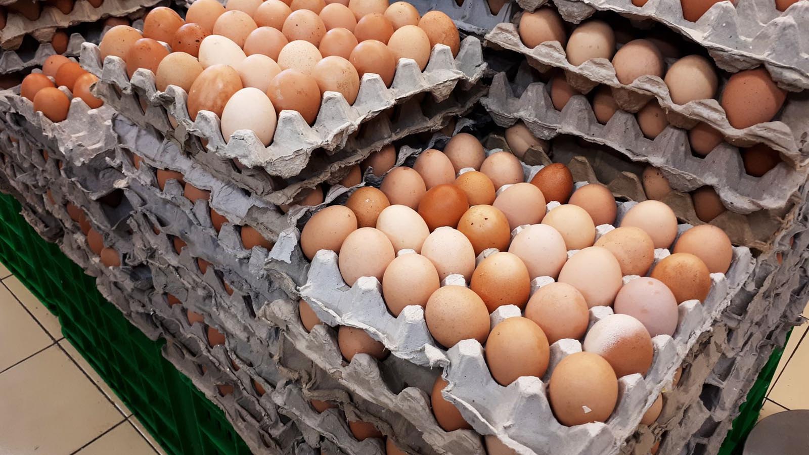 Egg Heist: State Police Hunt for Suspect After 100,000 Organic Eggs Stolen from Distributor ...
