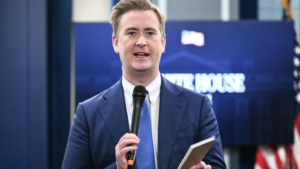 Fox News Will Launch New Sunday Show with Peter Doocy - EVOL - Evol News